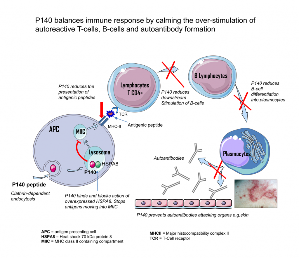 Our Science - ImmuPharma